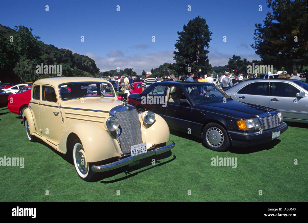MERCEDES BENZ SPORTS CARS CONCORSO ITALIANO Italian Concourse QUAIL ...