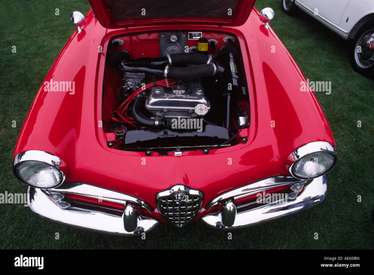 ALFA ROMEO SPORTS CARS CONCORSO ITALIANO Italian Concourse QUAIL LODGE ...