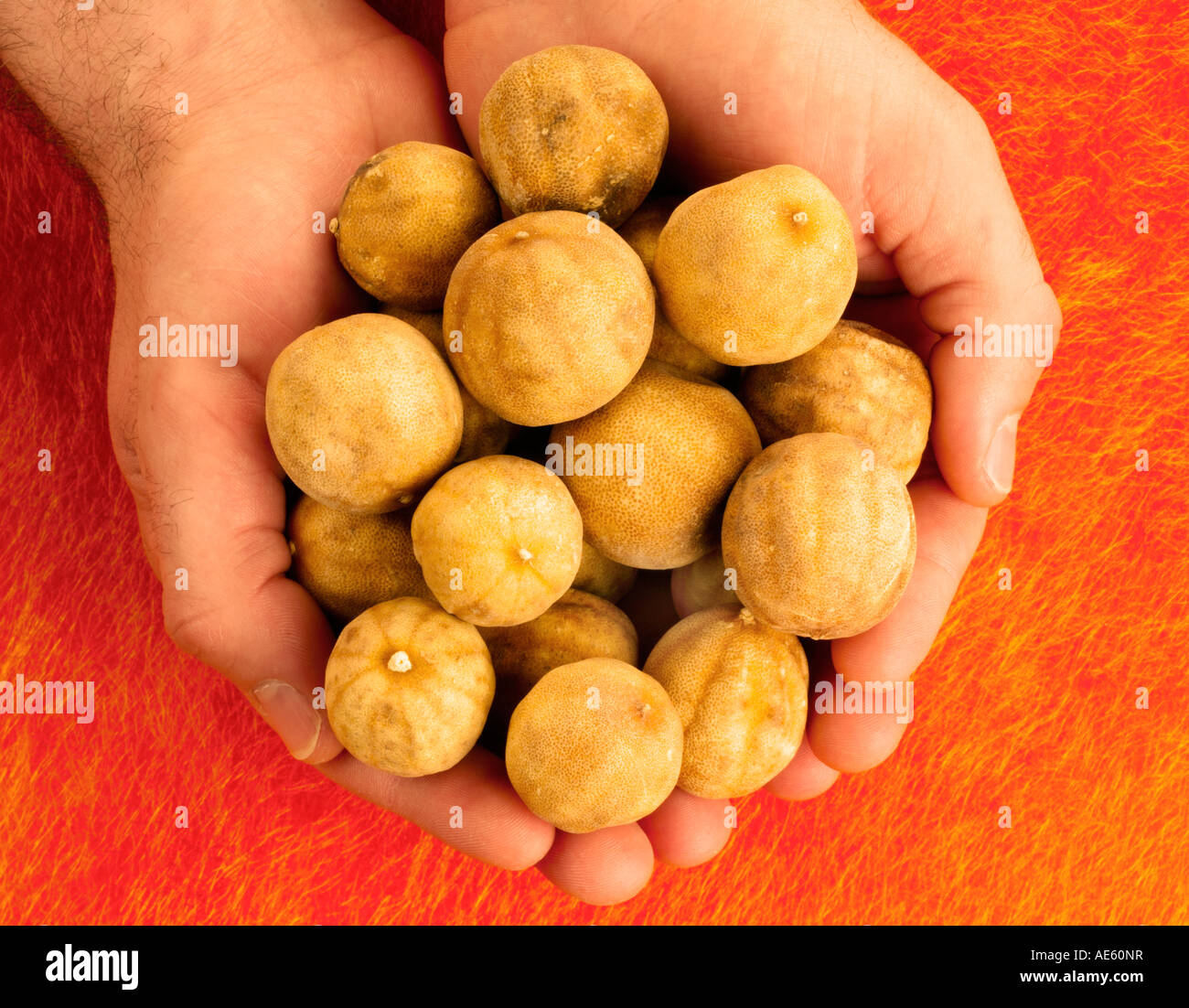 Dried limes hi-res stock photography and images - Alamy