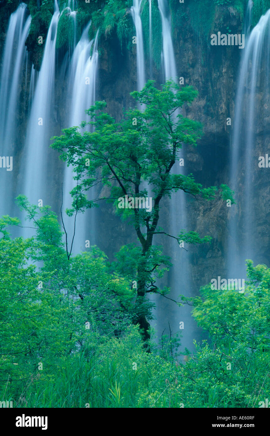 Waterfall, Plitvice Lakes national parks, Croatia Stock Photo - Alamy
