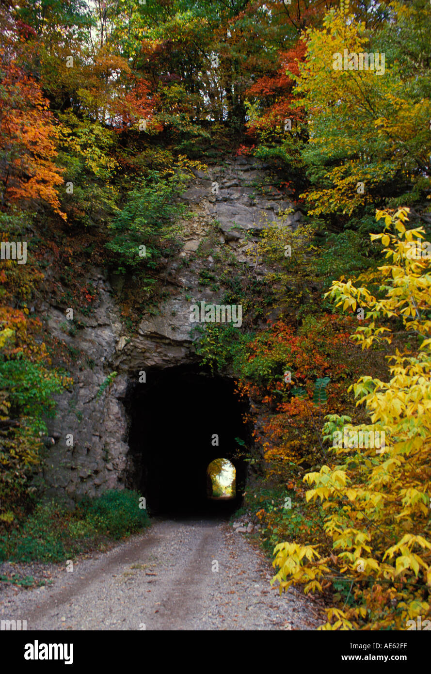 Tunnel through limestone bluff on MKT or KATY scenic Rails to Trails ...