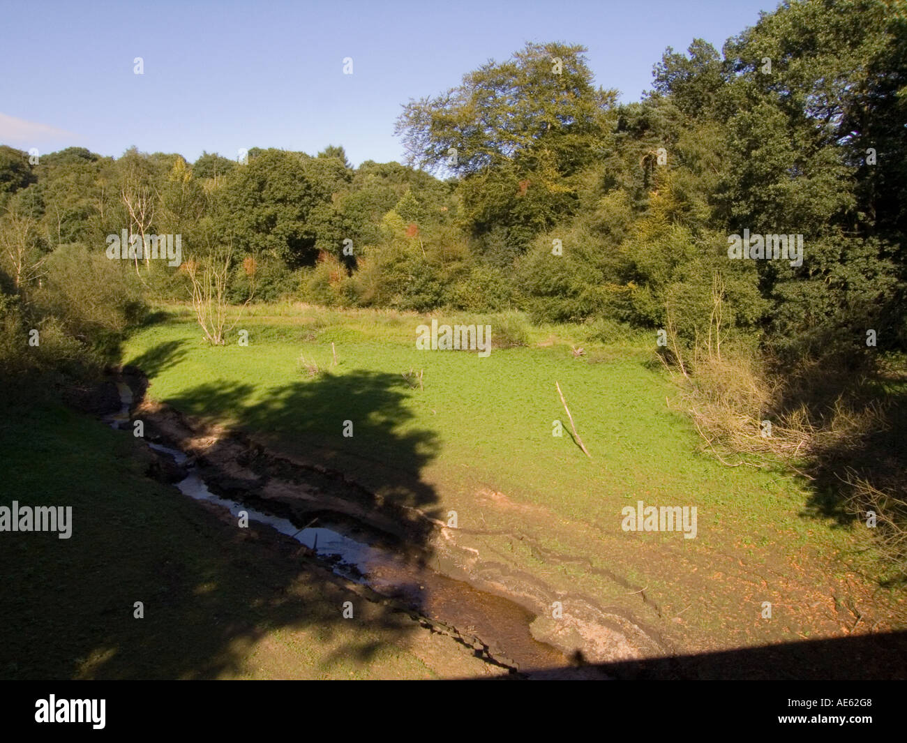 Watercourse stream erosion Stock Photo - Alamy