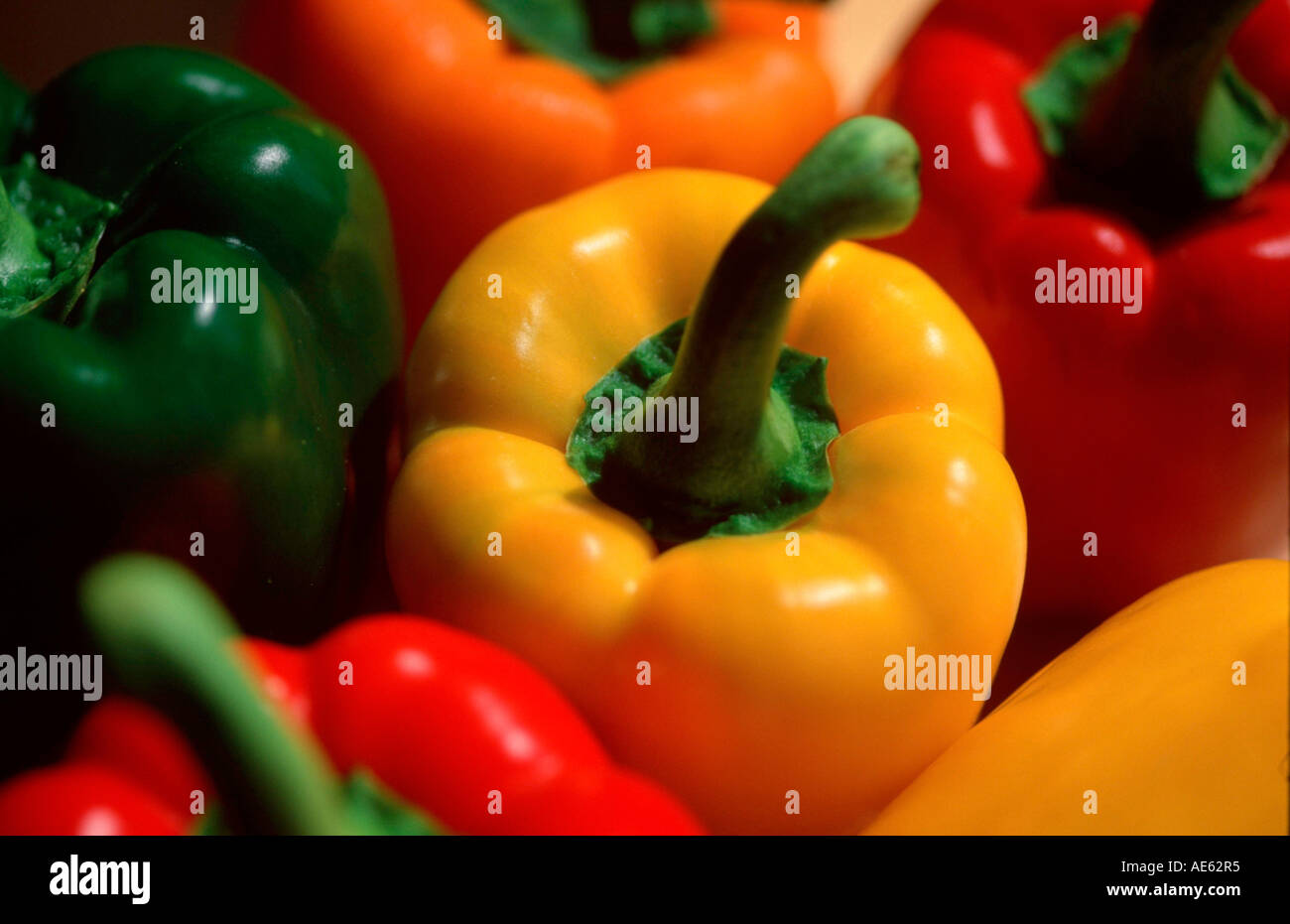 Pepper (Capsicum annuum Stock Photo - Alamy