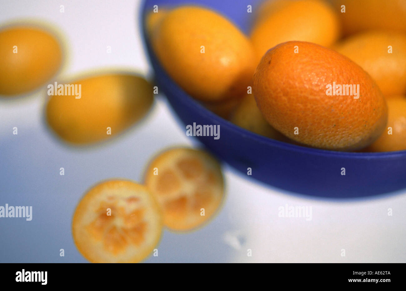 Malayan Kumquat (Fortunella polyandra Stock Photo - Alamy