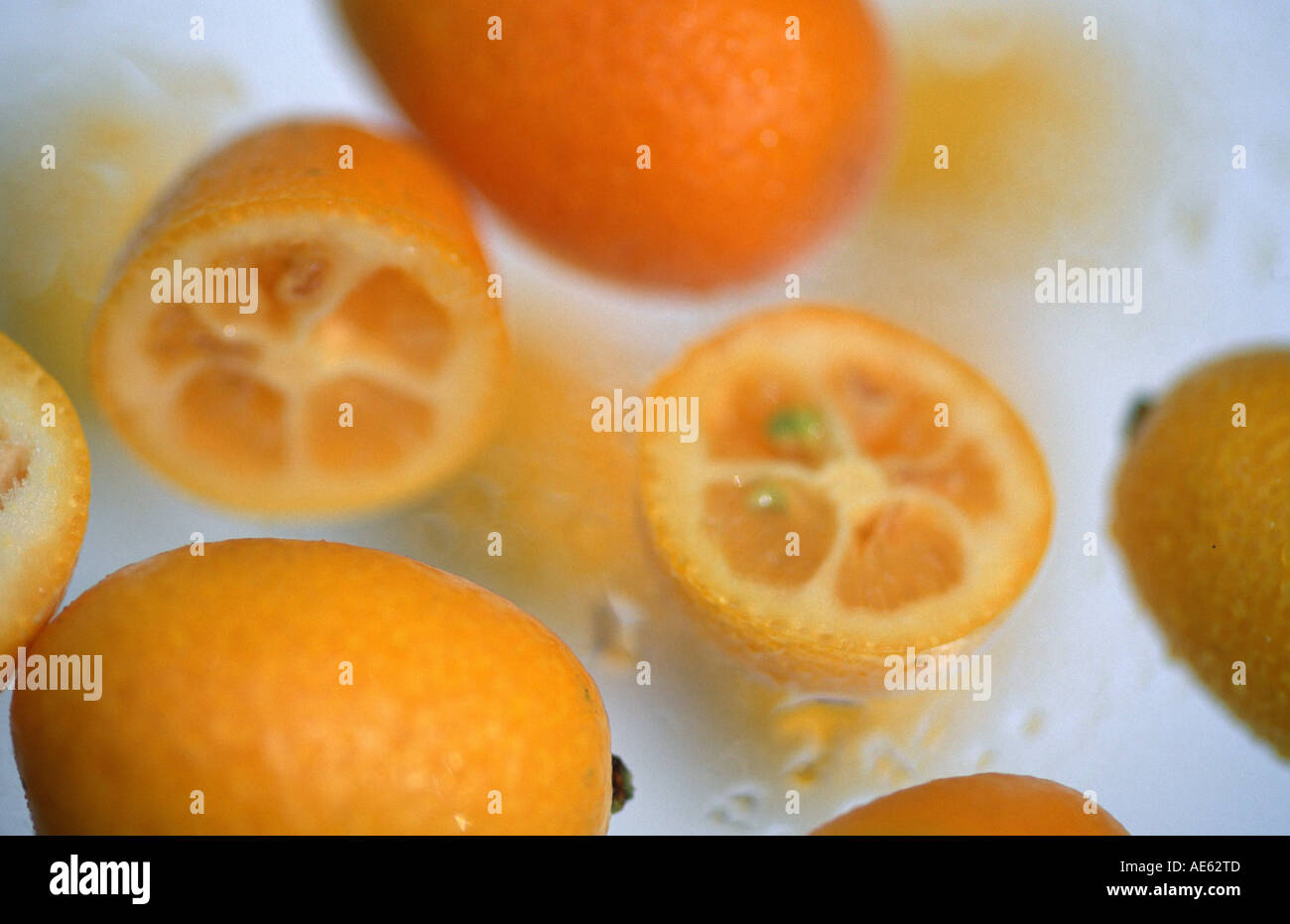 Malayan Kumquat (Fortunella polyandra Stock Photo - Alamy