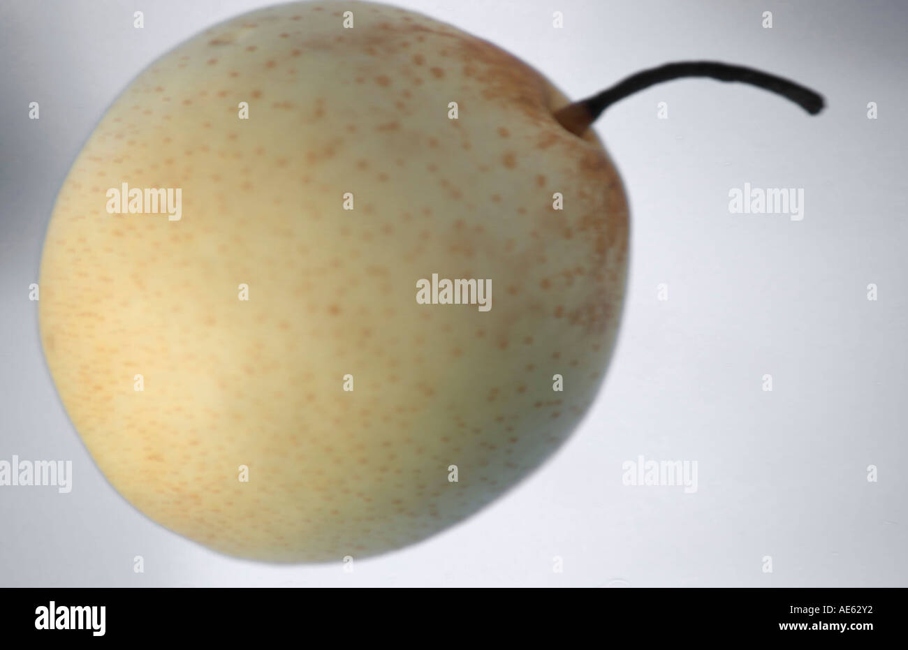 Asia pear (Pyrus pyrifolia) Chinese Pear Stock Photo - Alamy