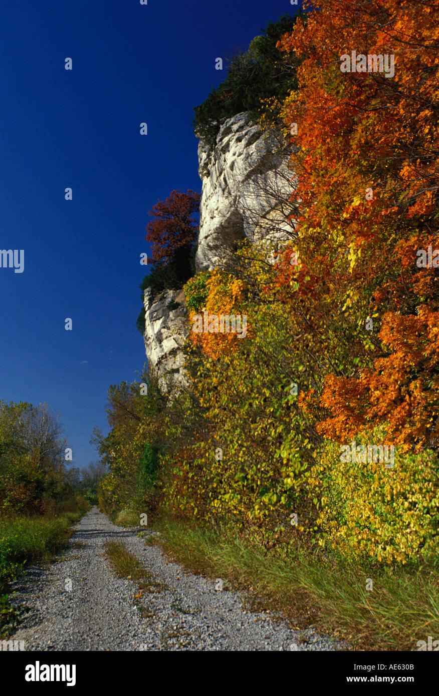 Gravel at base of tree hi-res stock photography and images - Alamy