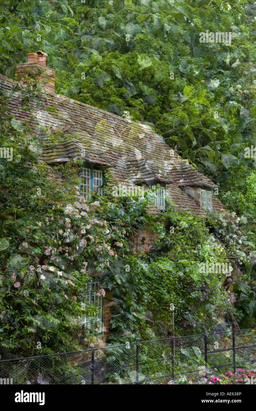 Hidden ghostly country cottage in a lush forest Stock Photo - Alamy