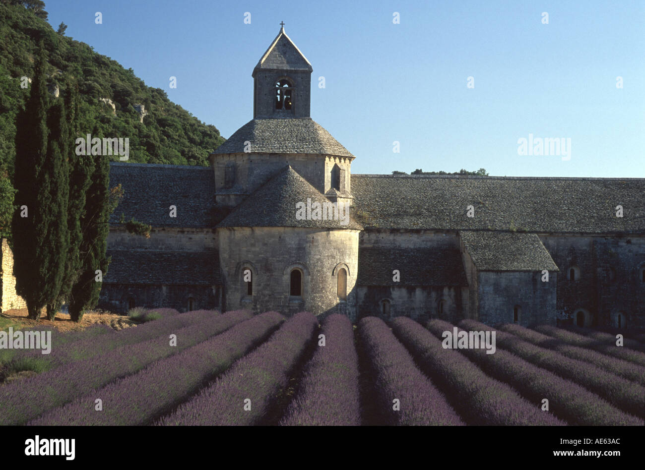 Abbaye Notre Dame de Senanque Provence France Stock Photo - Alamy