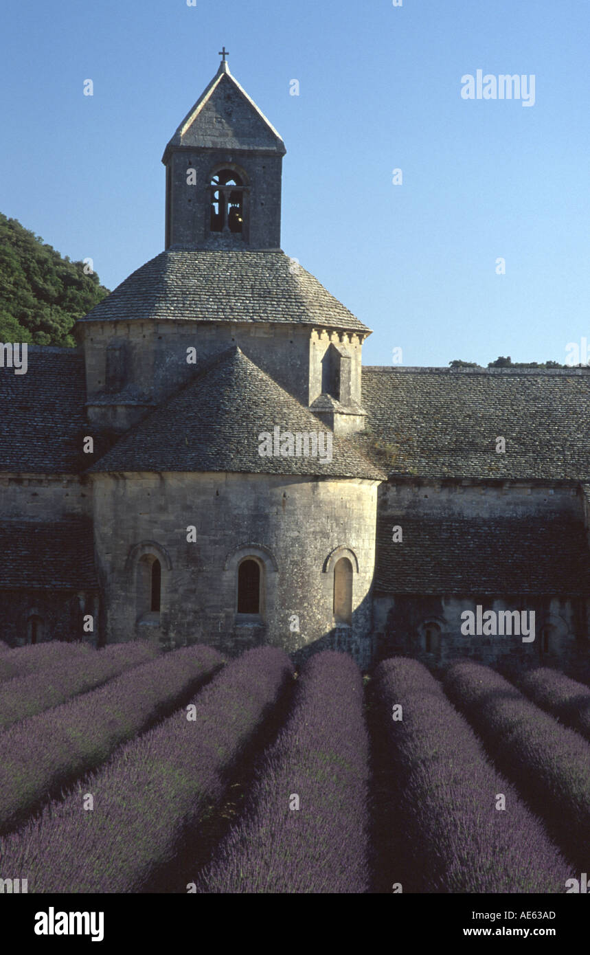 Abbaye Notre Dame de Senanque Provence France Stock Photo - Alamy