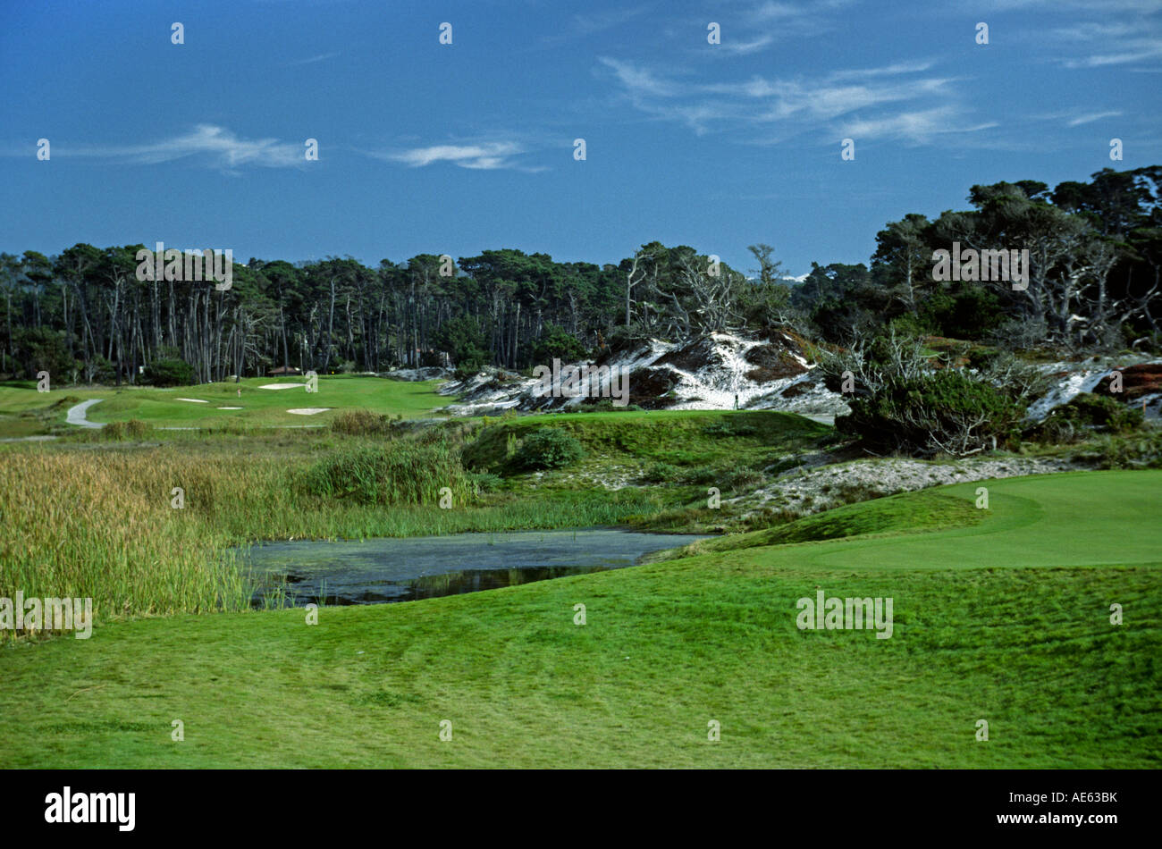 GOLF COURSE at SPANISH BAY RESORT PEBBLE BEACH CALIFORNIA Stock Photo ...