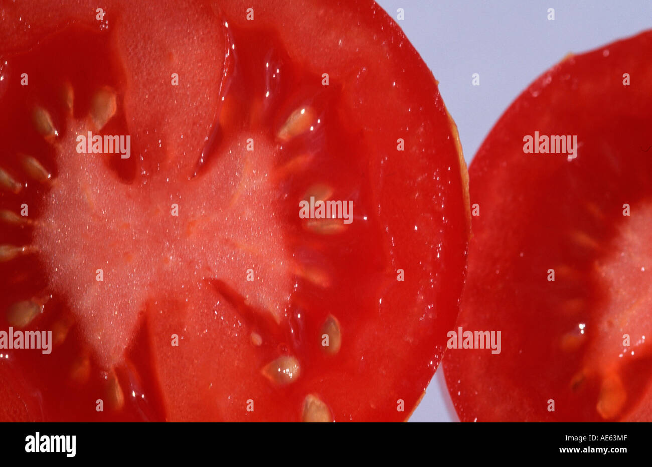 Tomato fruit (Solanum lycopersicum Stock Photo - Alamy