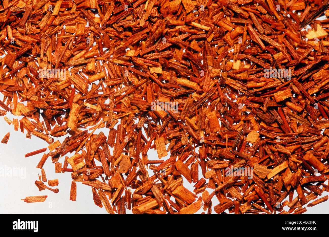 Red Bush Tea Stock Photo - Alamy