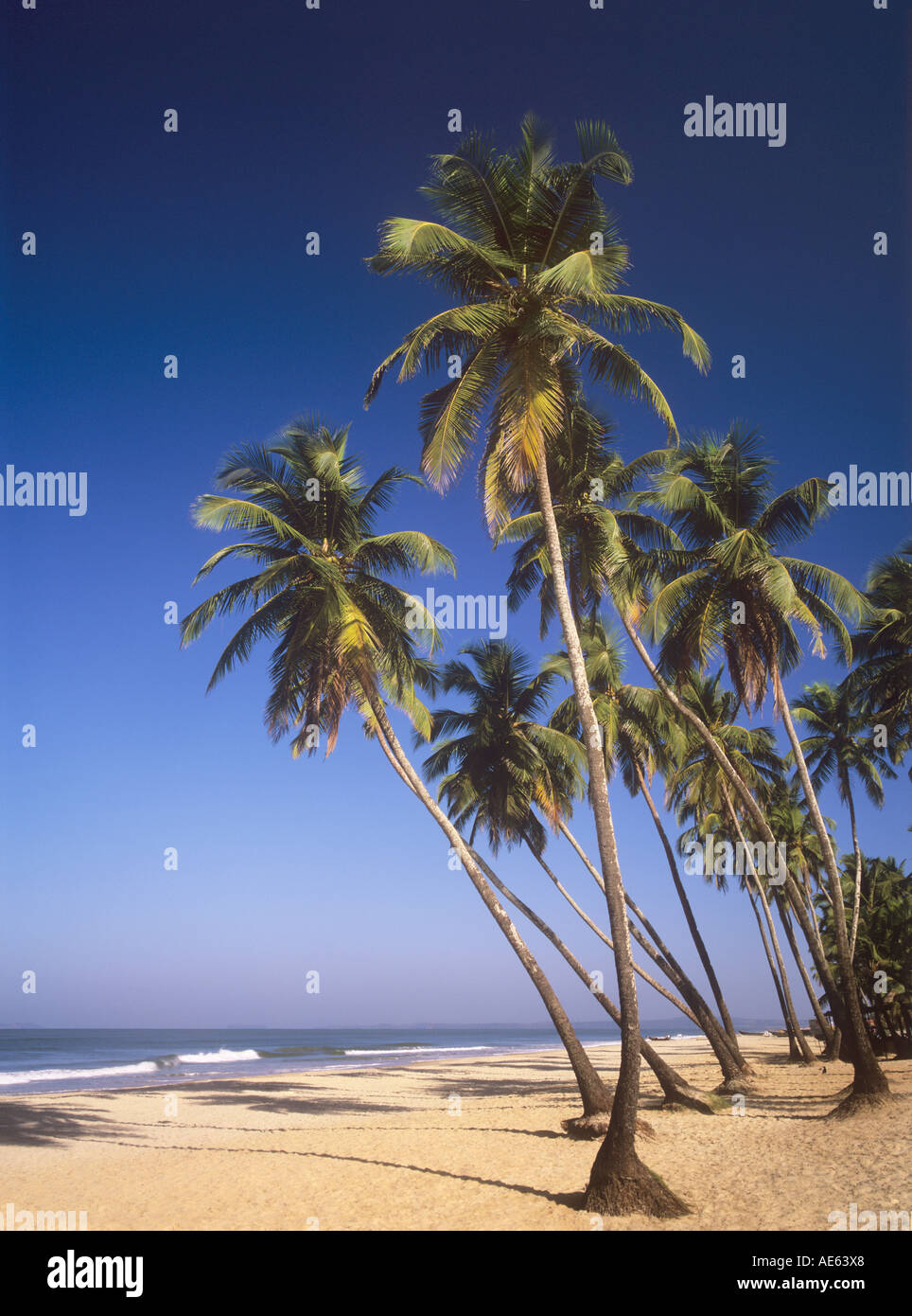 Colva Beach Goa India Stock Photo - Alamy