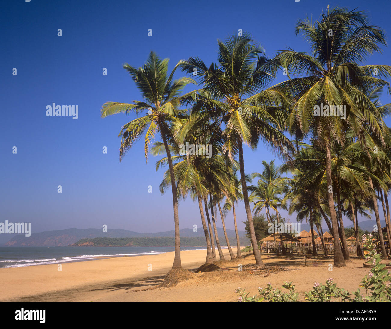 Agonda hi-res stock photography and images - Alamy
