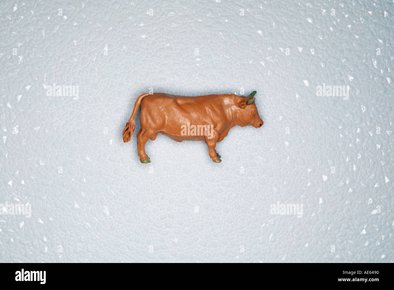 plastic model bull on white background Stock Photo - Alamy
