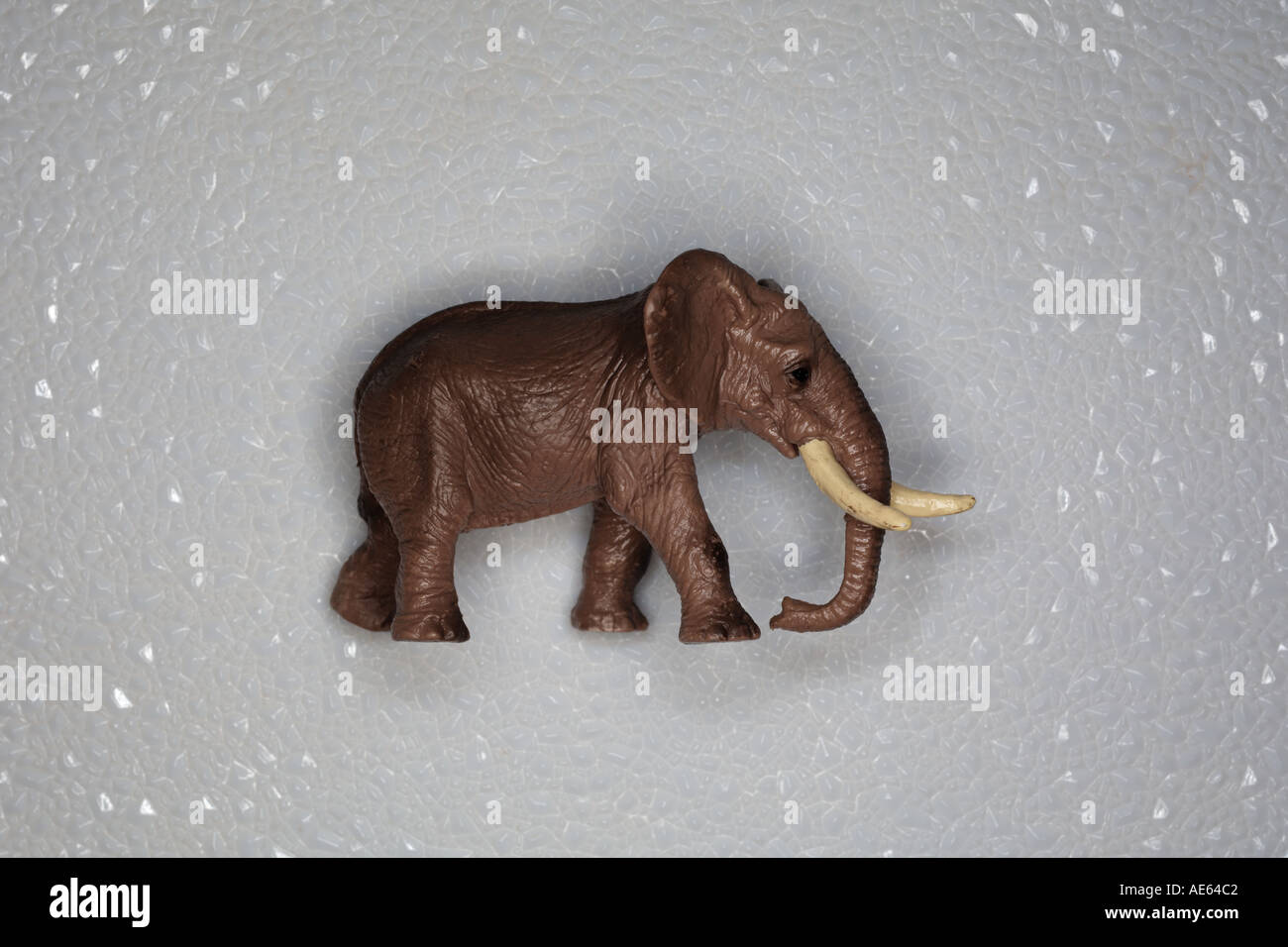Nelly the elephant hi-res stock photography and images - Alamy