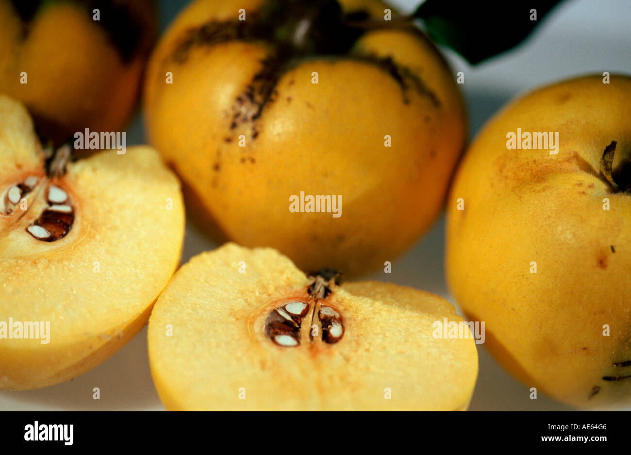 Quinces (Cydonia vulgaris Stock Photo - Alamy