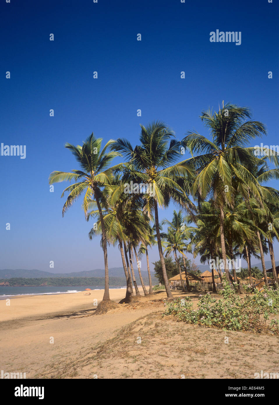 Agonda Beach Canacona Goa India Stock Photo - Alamy