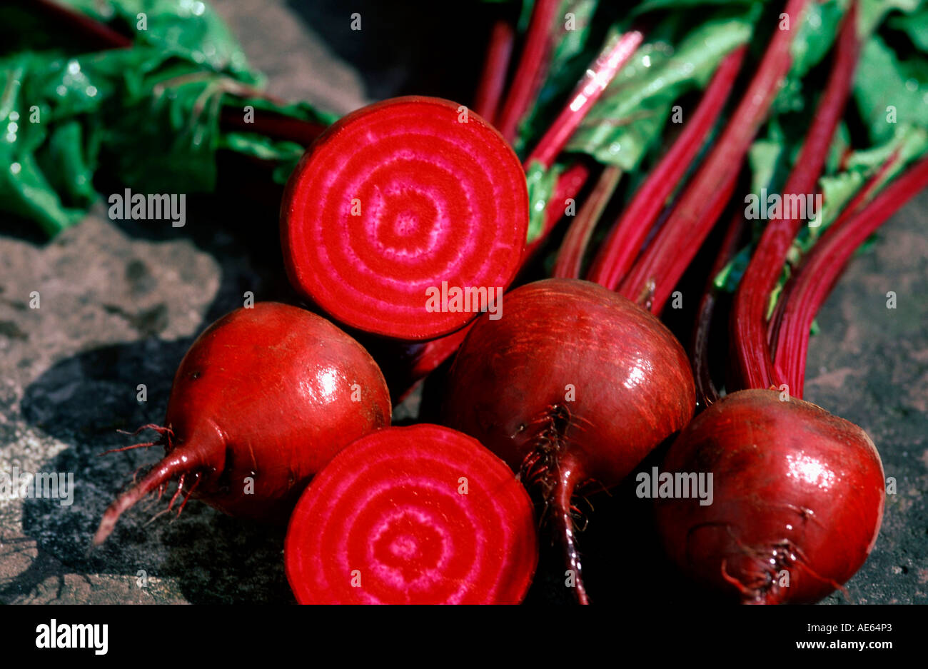 Beet roots (Beta vulgaris vulgaris Stock Photo - Alamy