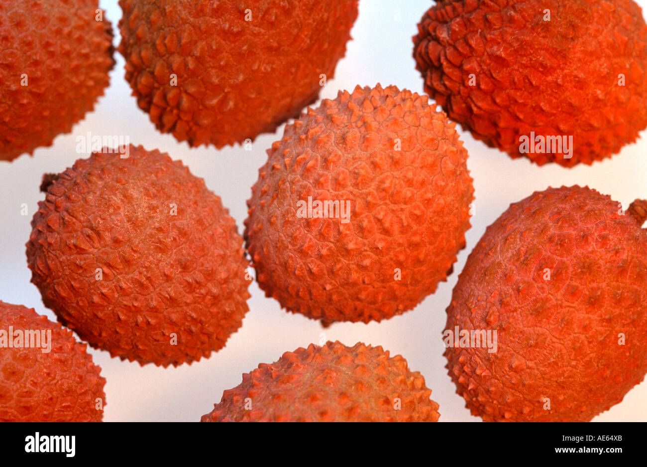 Lychee fruits (Litchi chinensis Stock Photo - Alamy