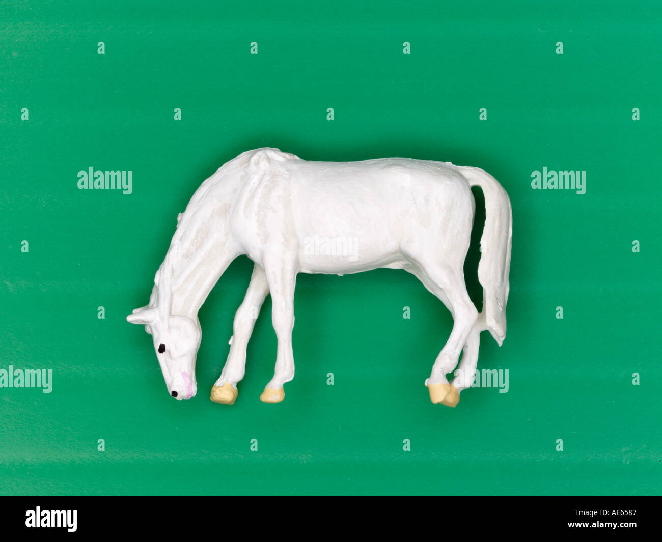 White model horse grazing on green background Stock Photo - Alamy