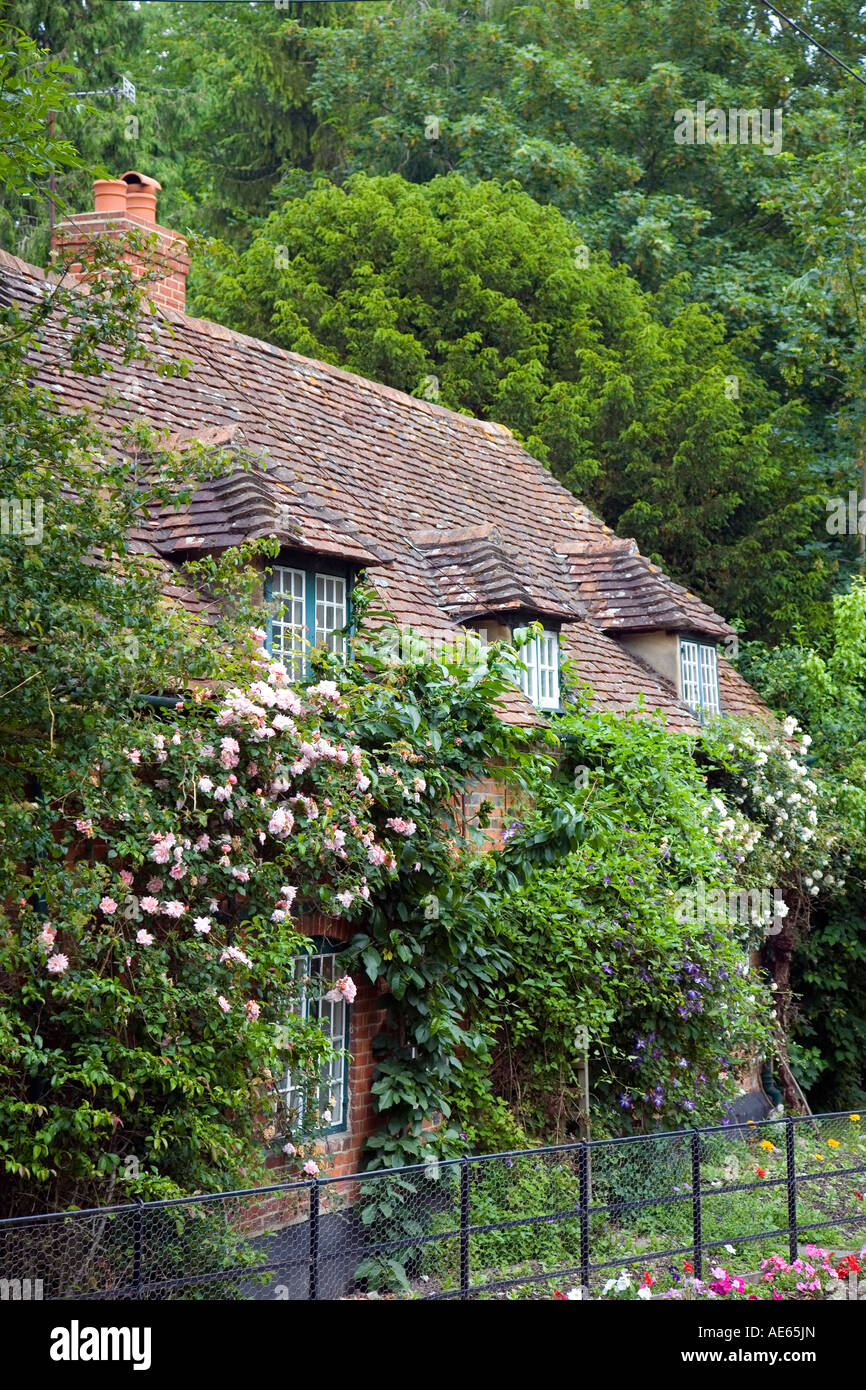 Hidden ghostly country cottage in a lush forest Stock Photo - Alamy