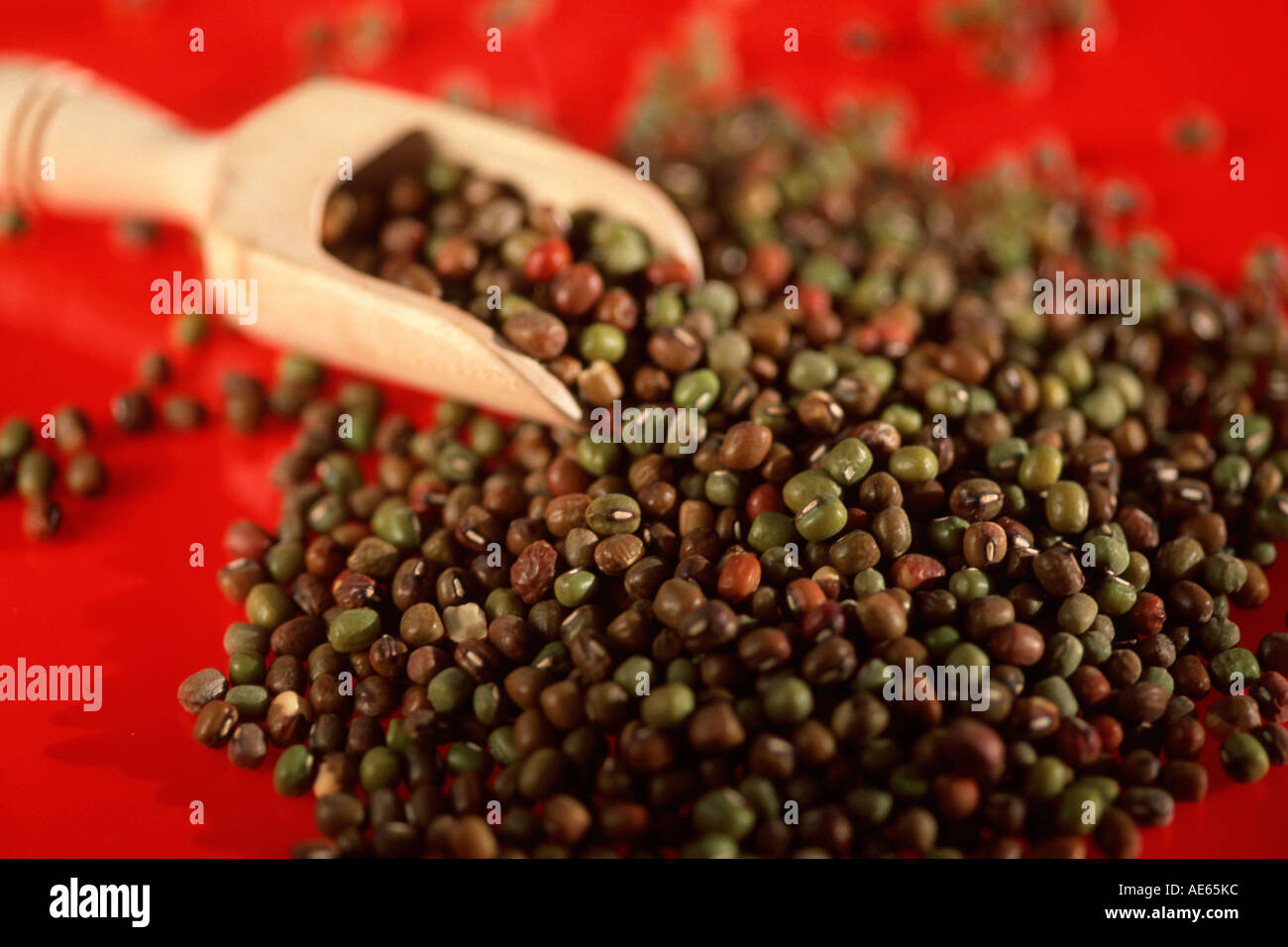 Mung Bean, peeled (Phaseolus aureus Stock Photo - Alamy