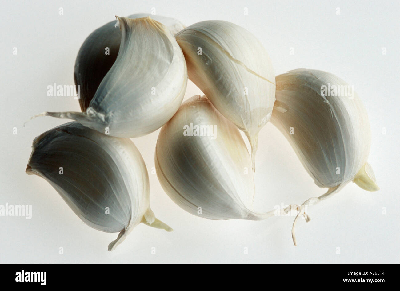 Garlic cloves (Allium sativum Stock Photo - Alamy
