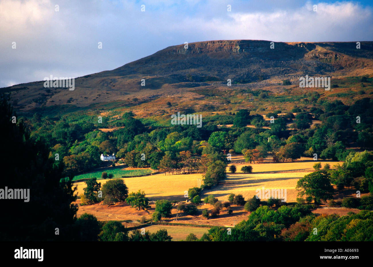 Cerrig hi-res stock photography and images - Alamy