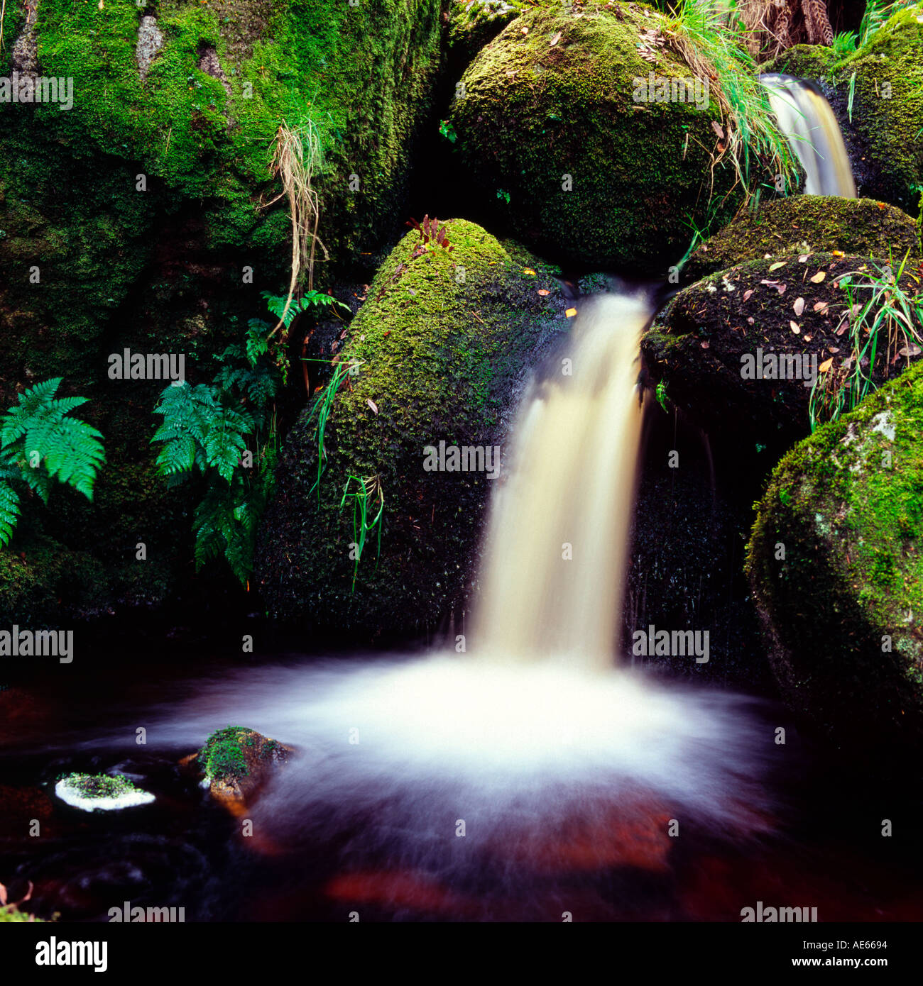 Waterfalls Glencree Co Wicklow Ireland Stock Photo - Alamy