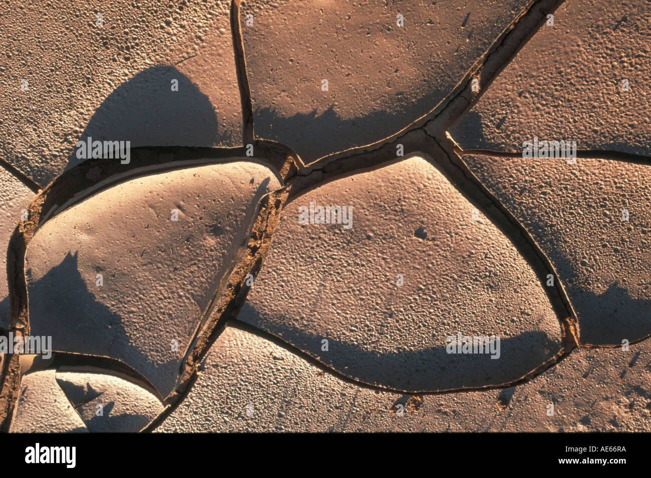 Out earth hi-res stock photography and images - Alamy