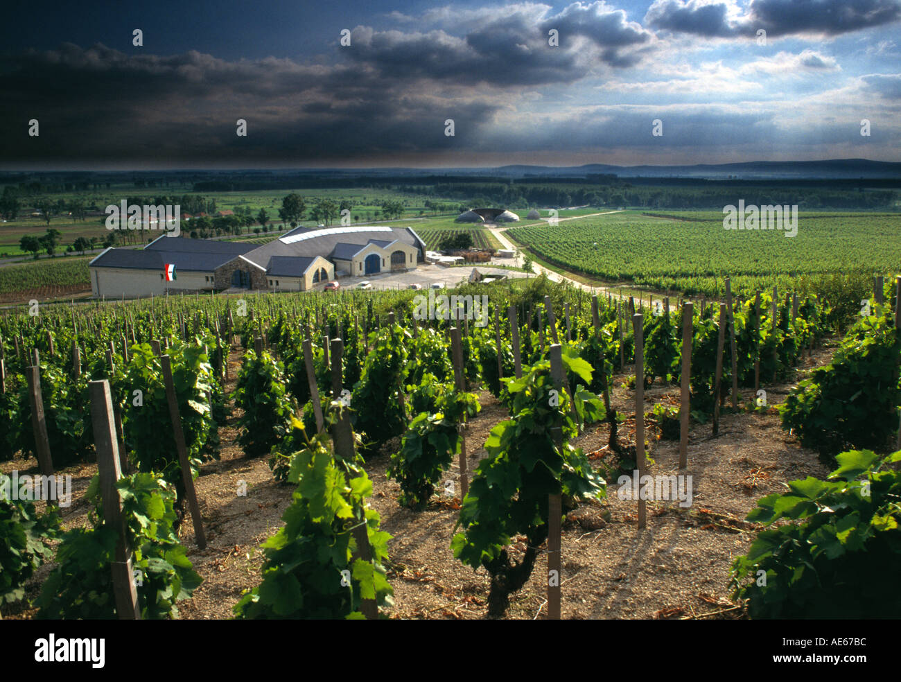 Modern French owned winery in the Tokai region Hungary Stock Photo - Alamy