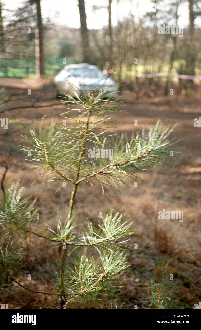 Car races hi-res stock photography and images - Alamy