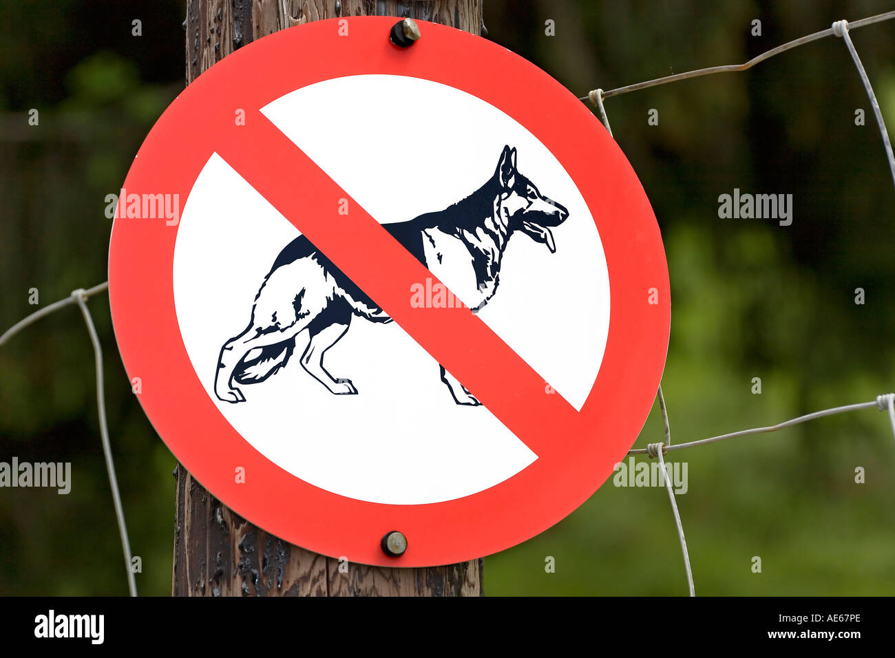 No dog signboard hi-res stock photography and images - Alamy
