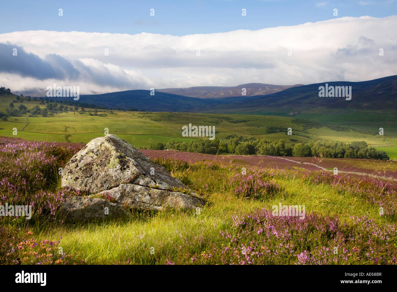 Glacial erratic rock, glacially deposited boulders, rocks; Scottish ...