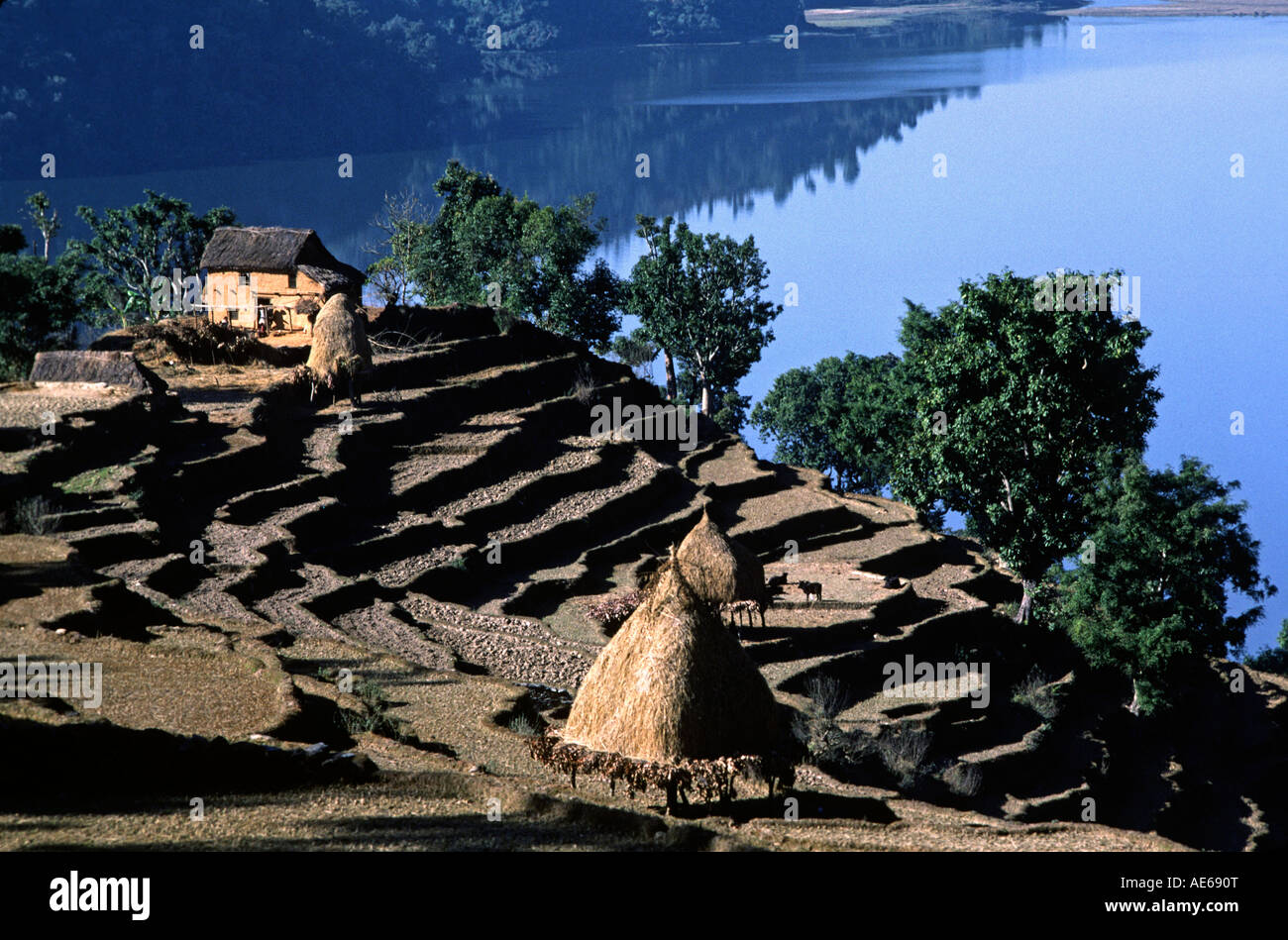 Wular lake and terraced hillside near Pokhara SIKLIS TREK NEPAL Stock ...
