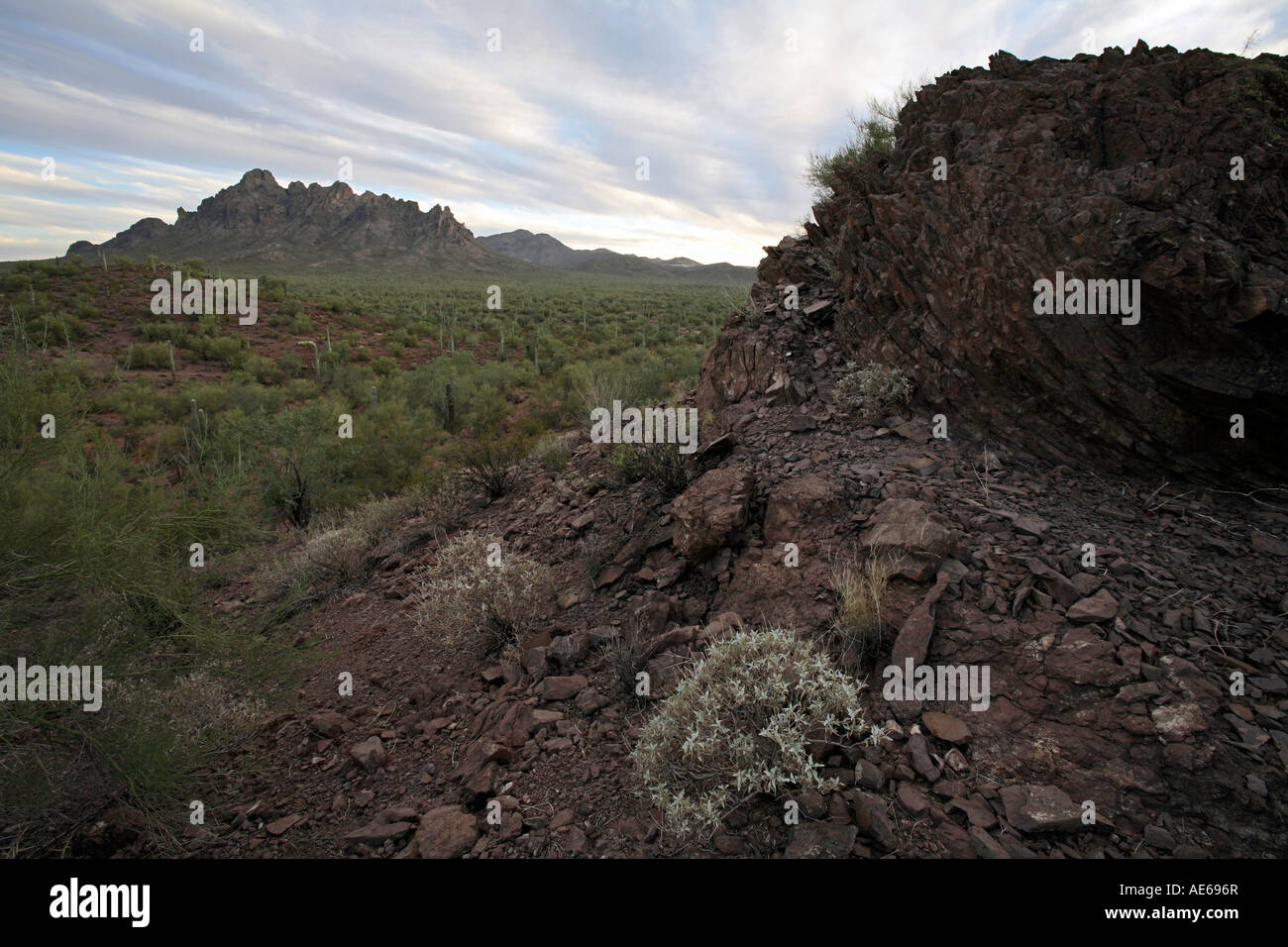 Ragged Top Mountain Ironwood National Monument Arizona Stock Photo - Alamy