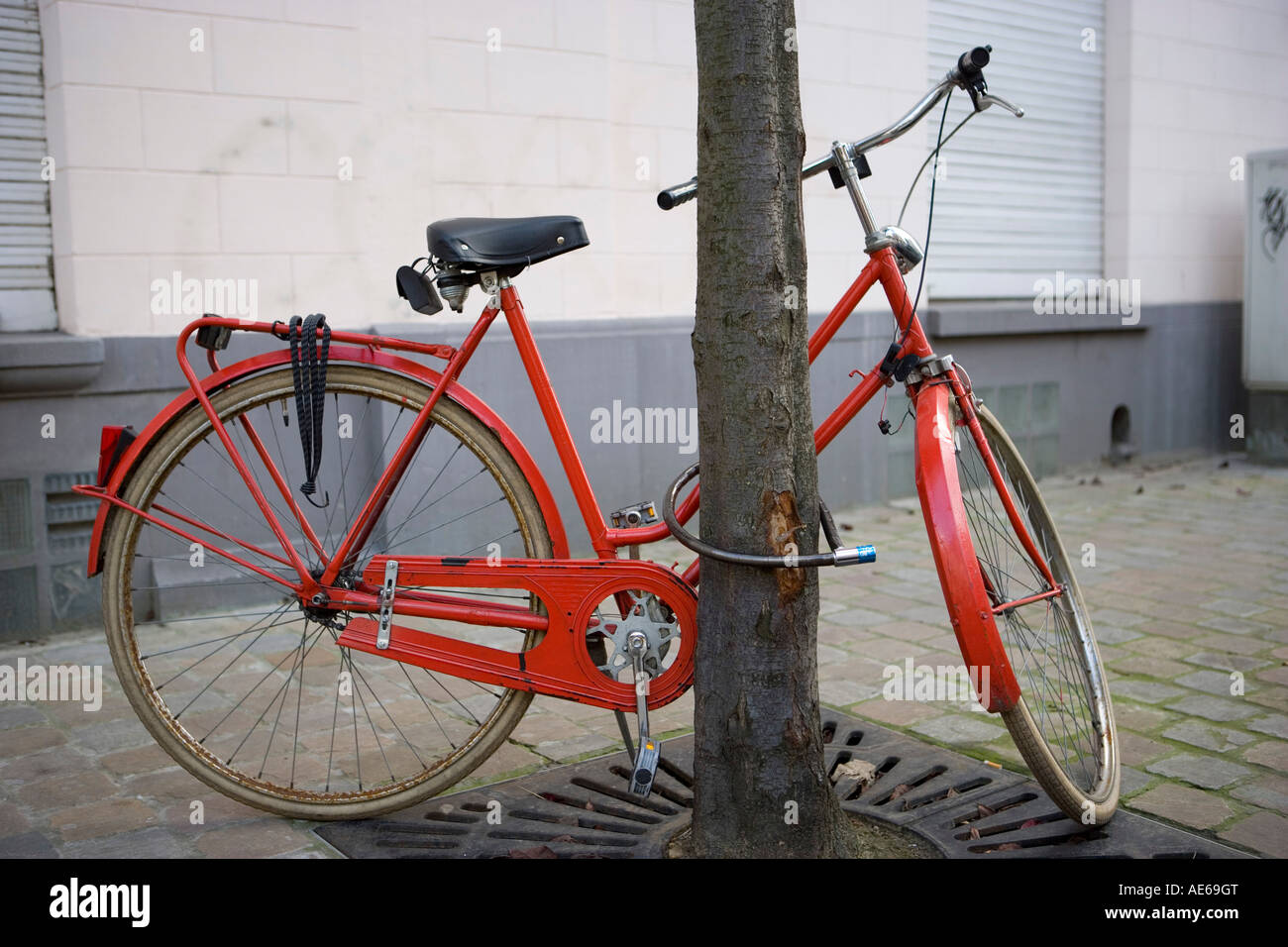 Red bicycle locked to tree on pavement Stock Photo - Alamy