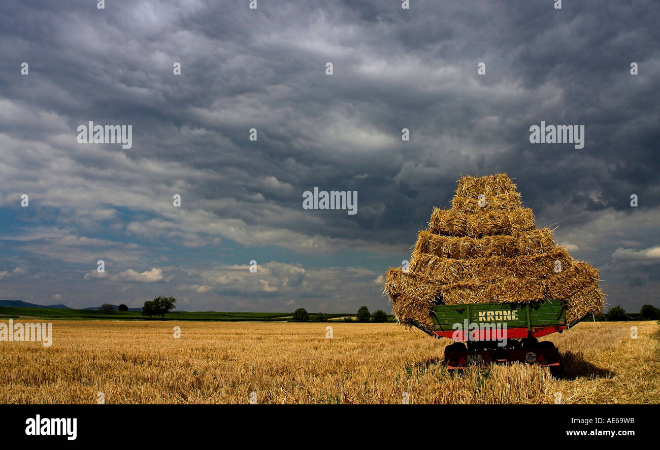 Harvest cart hi-res stock photography and images - Alamy