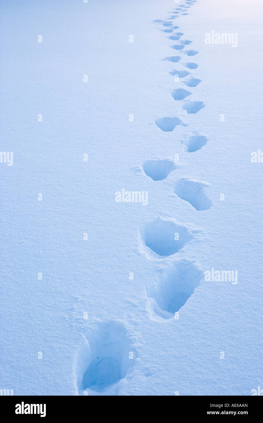 Deep footprints in snow Stock Photo - Alamy