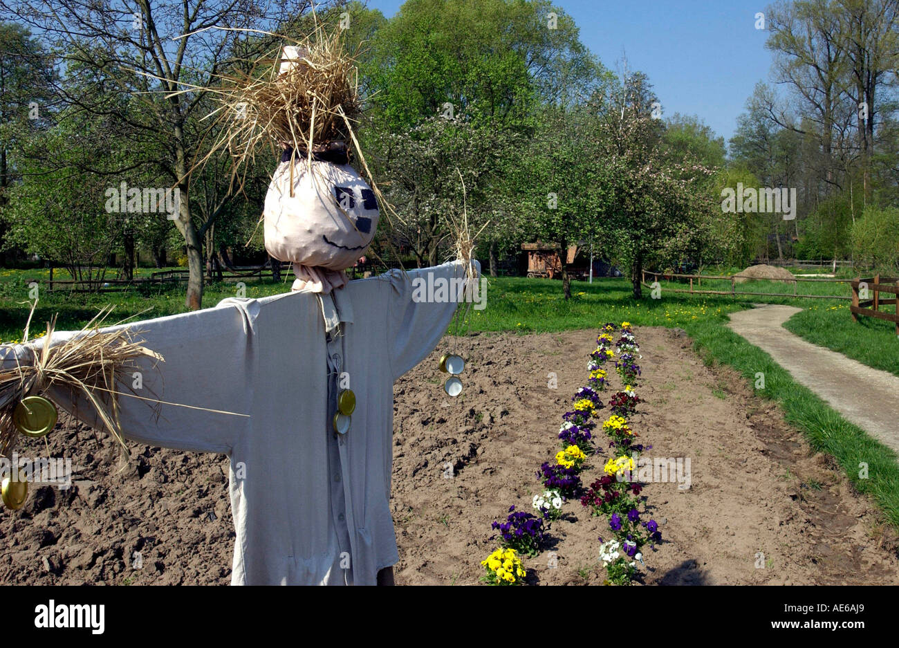 scarecrow on a small field in spring Stock Photo - Alamy