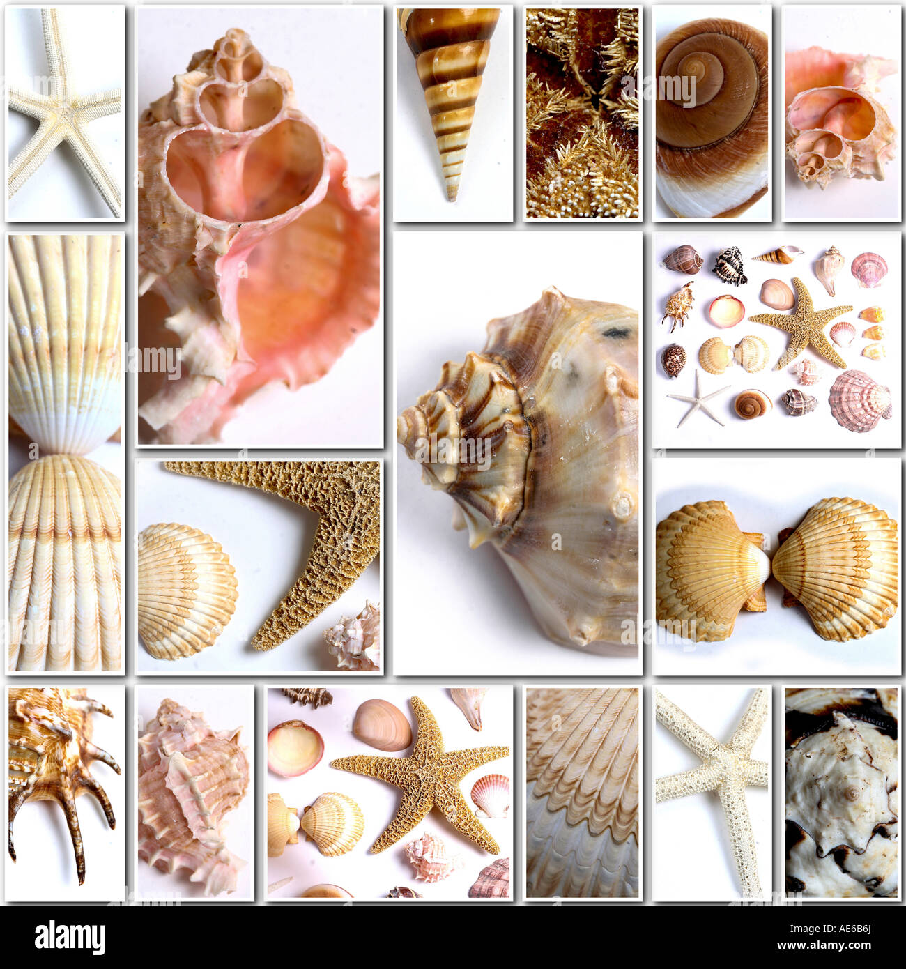 At The Beach Stock Photo - Alamy