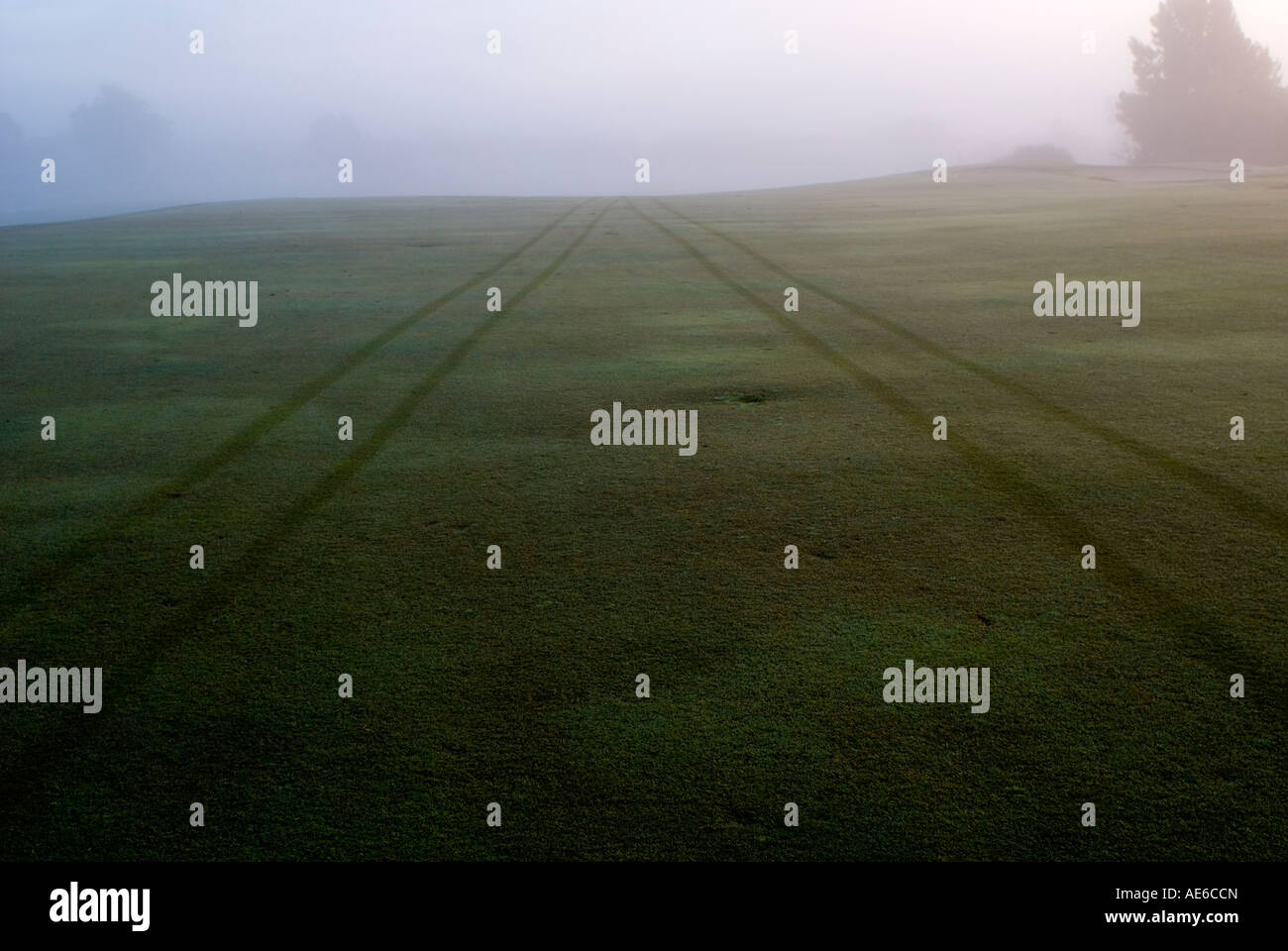 Golf buggy on fairway hi-res stock photography and images - Alamy