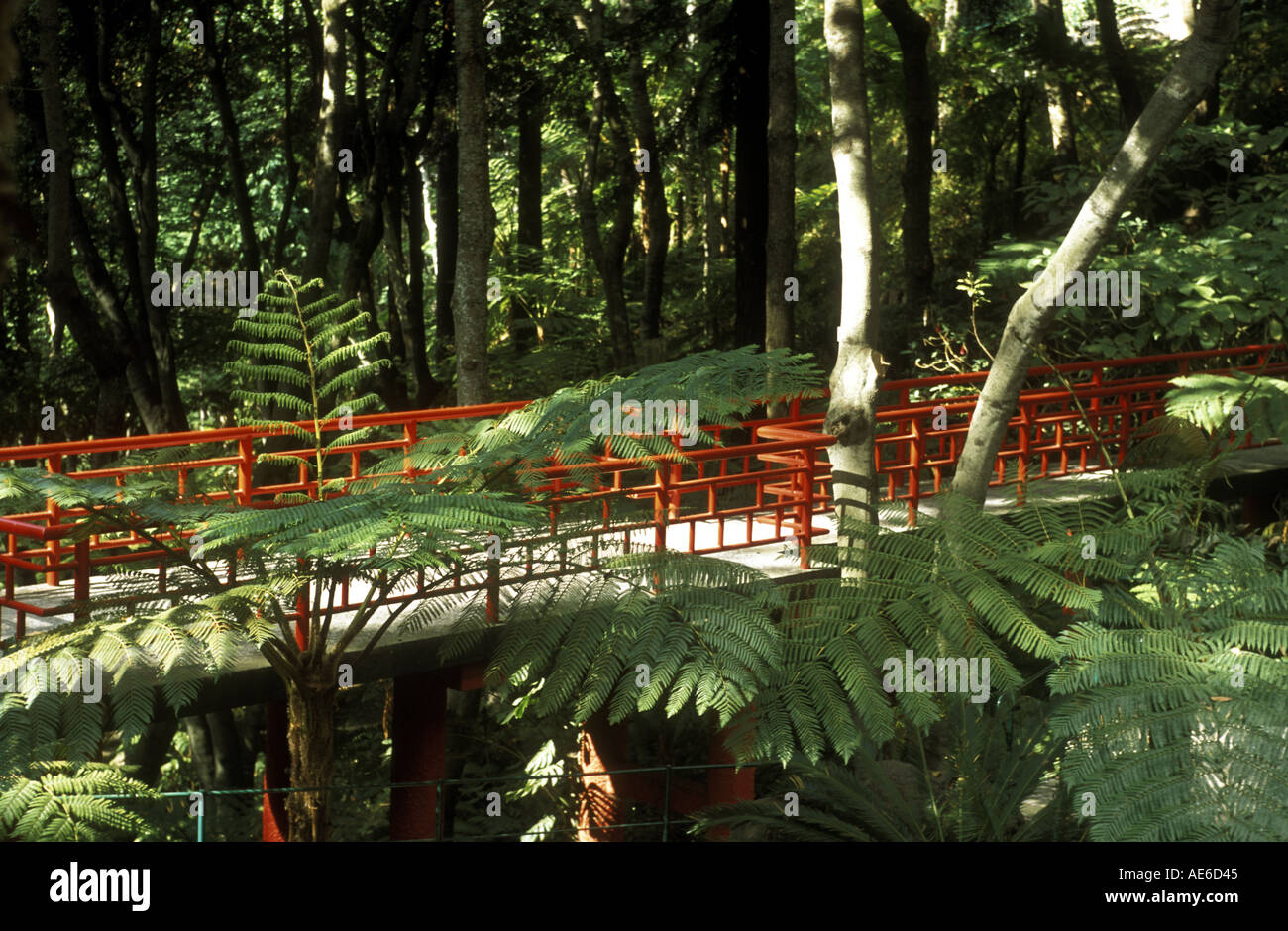 JAPANESE WALKWAY MONTE GARDENS MADEIRA Stock Photo - Alamy