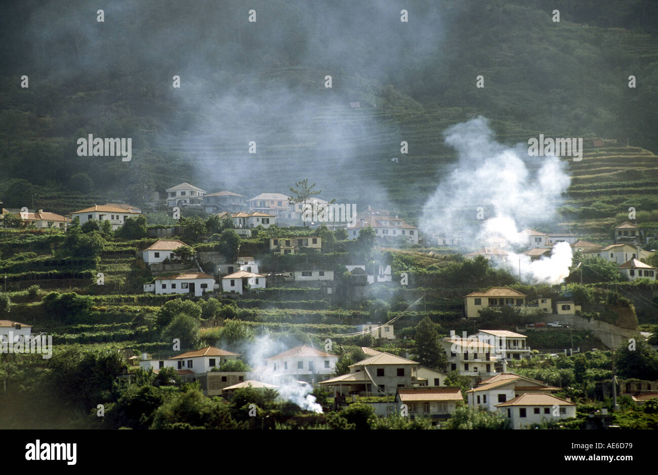 Terraced fields farming madeira hi-res stock photography and images - Alamy
