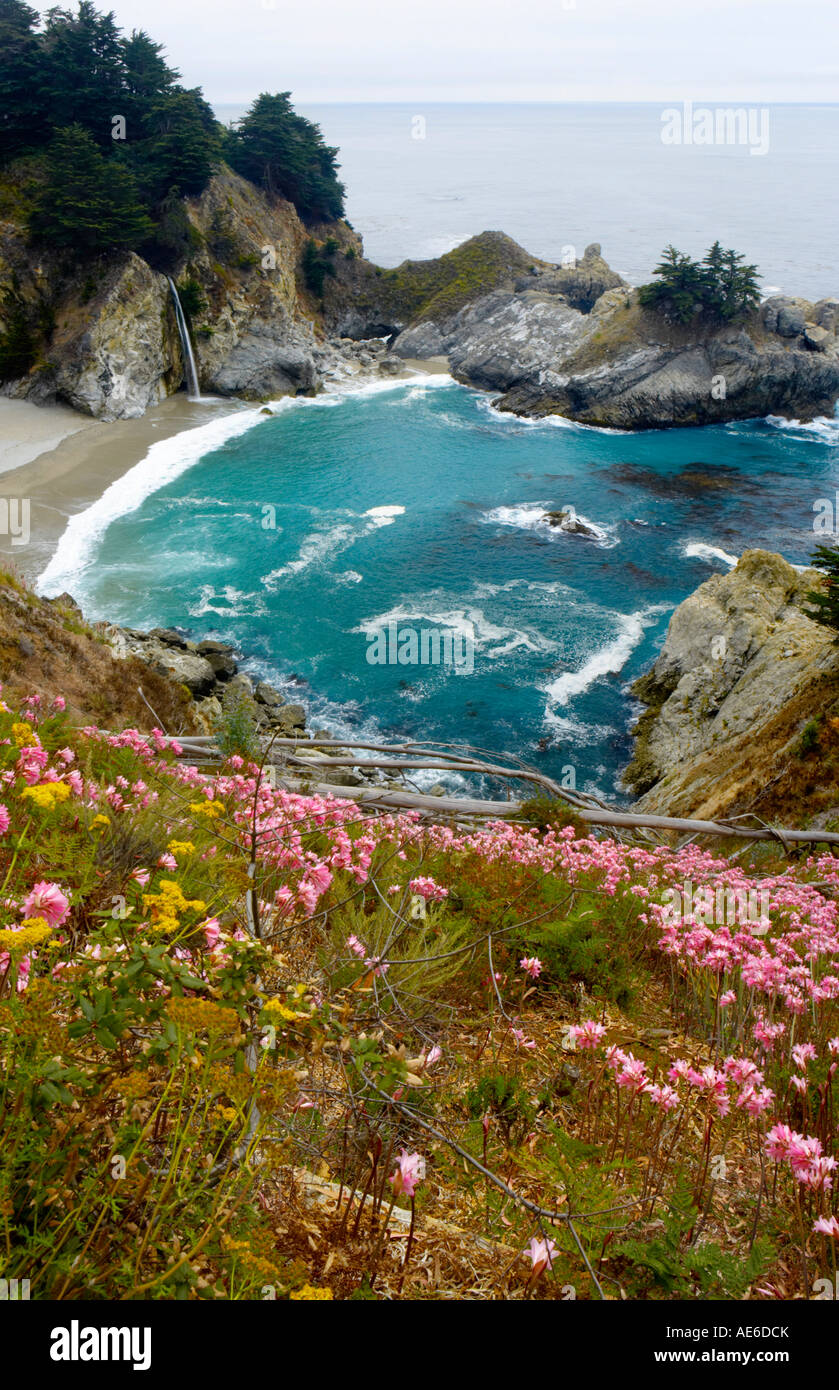 Waterfall beach julia pfeiffer burns hi-res stock photography and ...
