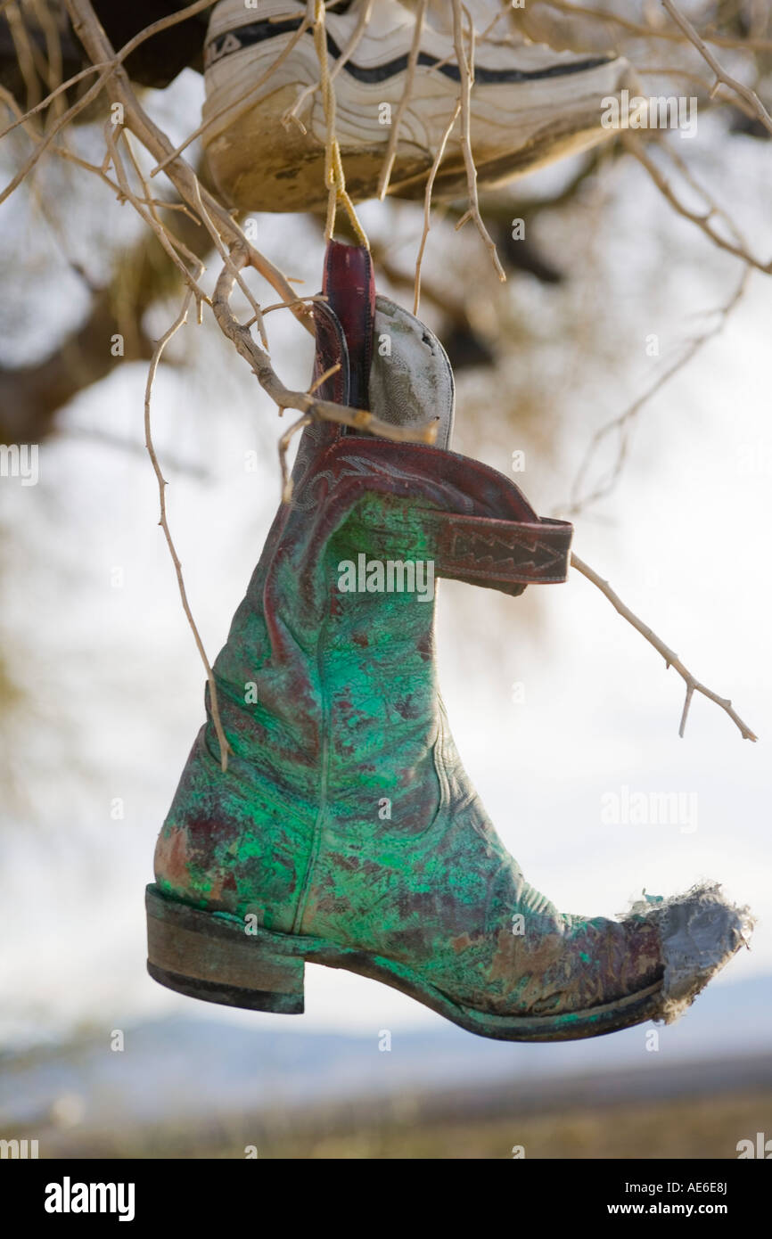 Shoe tree route 66 hi-res stock photography and images - Alamy