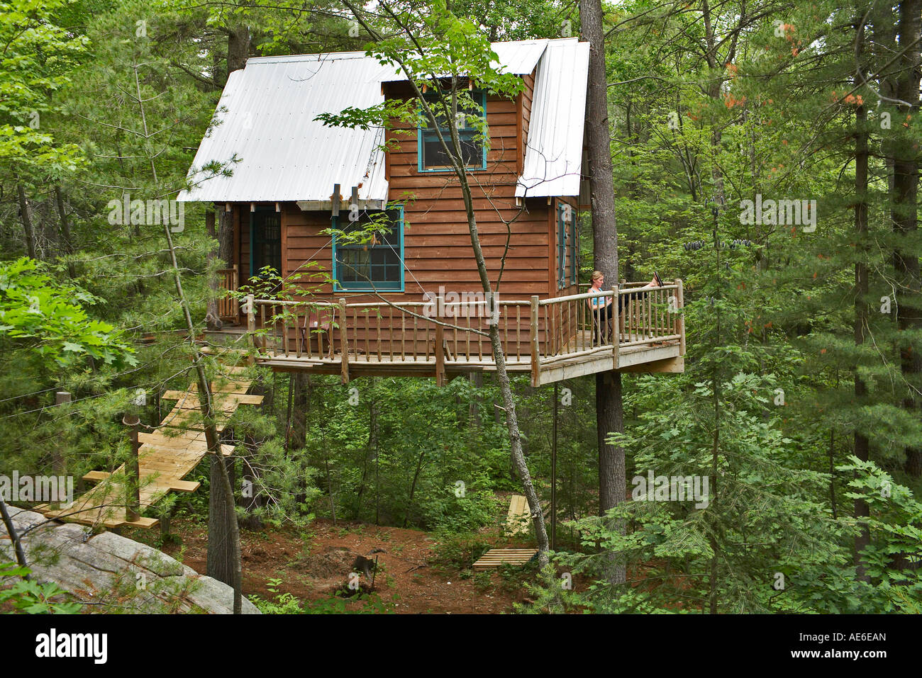 Tree house cottage French River Ontario Canada Stock Photo - Alamy