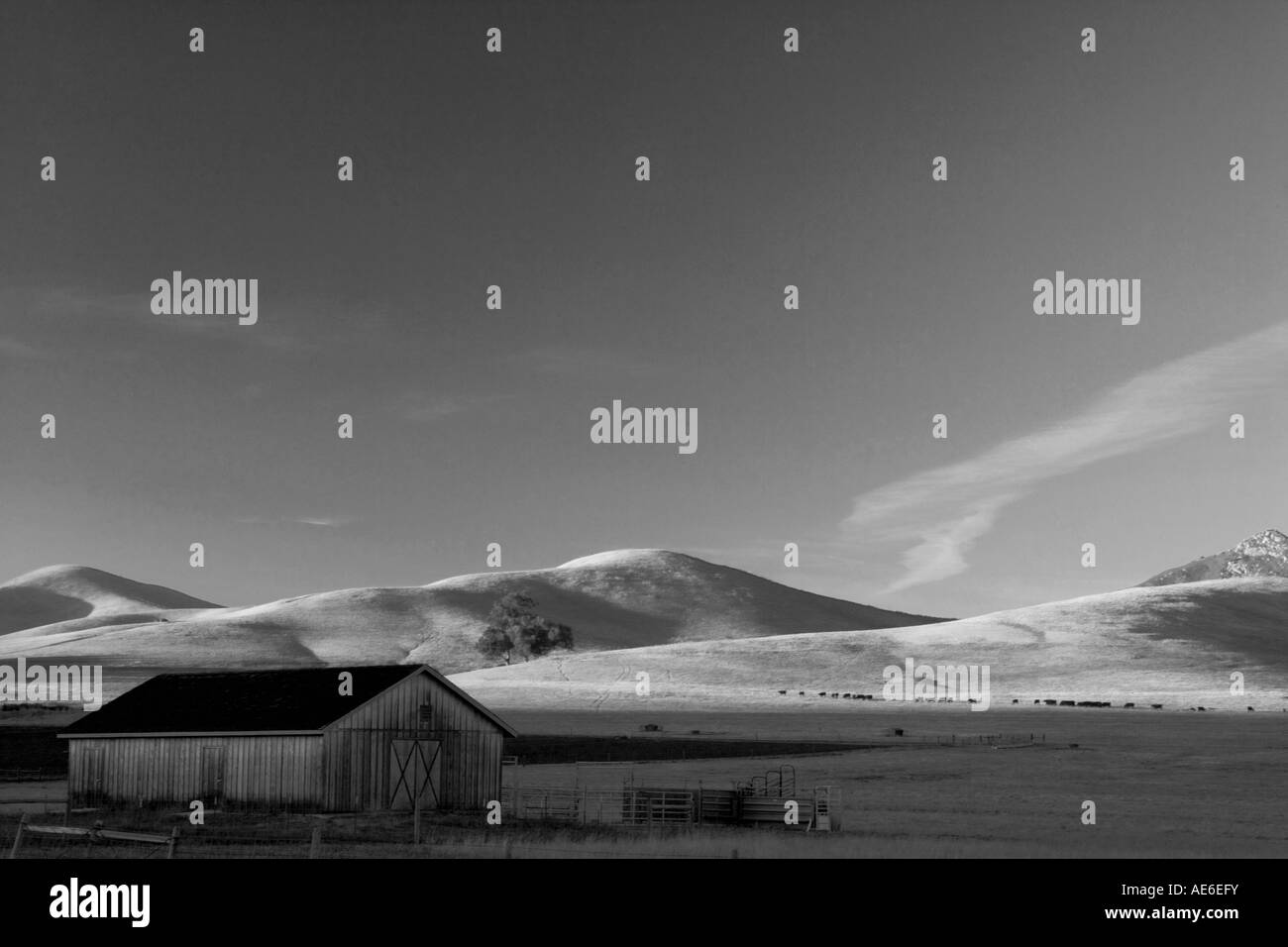 California ranch Black and White Stock Photos & Images - Alamy